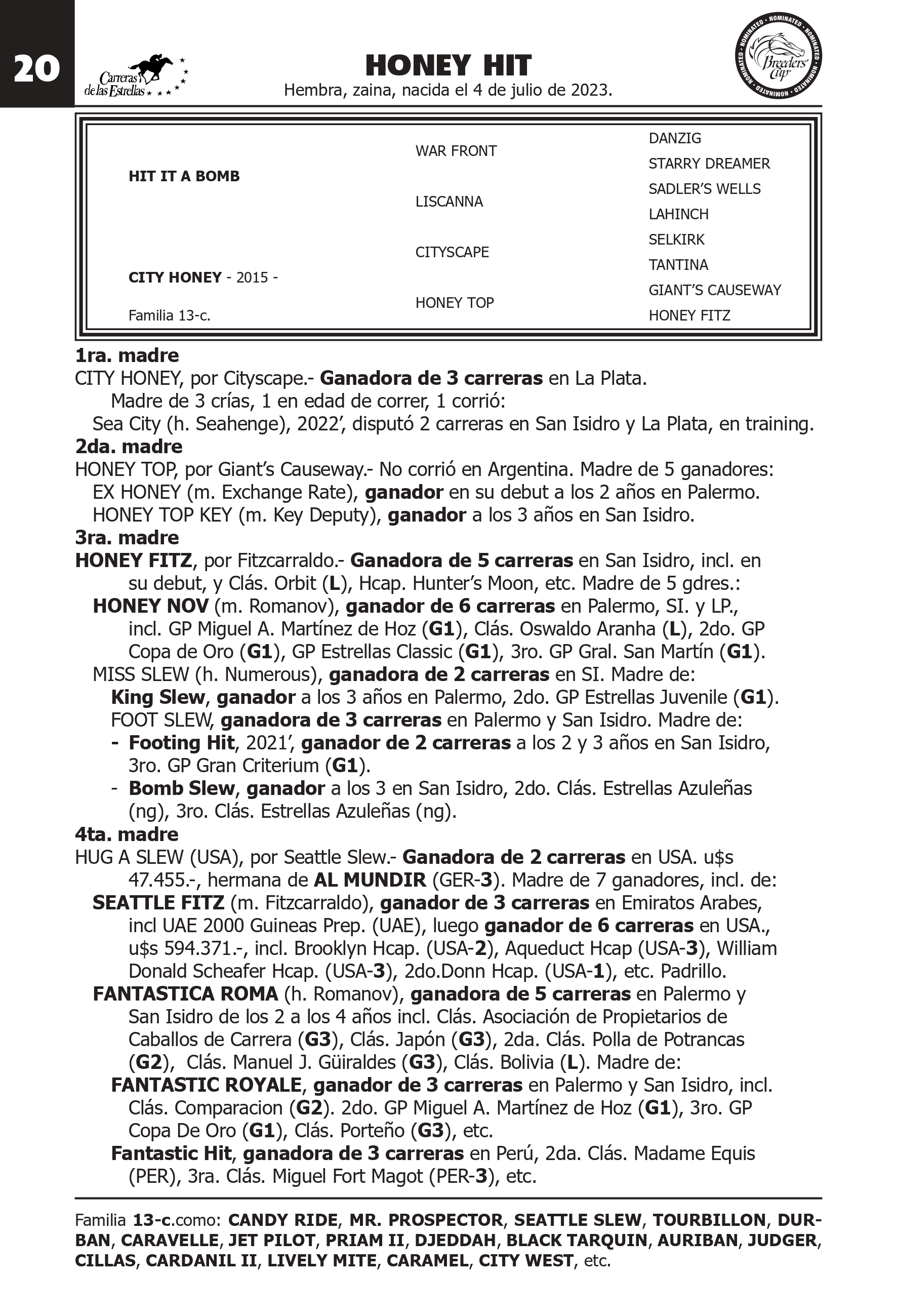 Antonio Bullrich [HONEY HIT][GRAN VENTA PRIMAVERA - HARAS FIRMAMENTO]